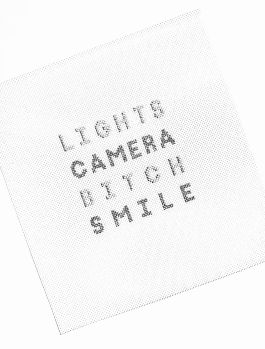 Lights Camera Smile – Olivia Grace Needlepoint